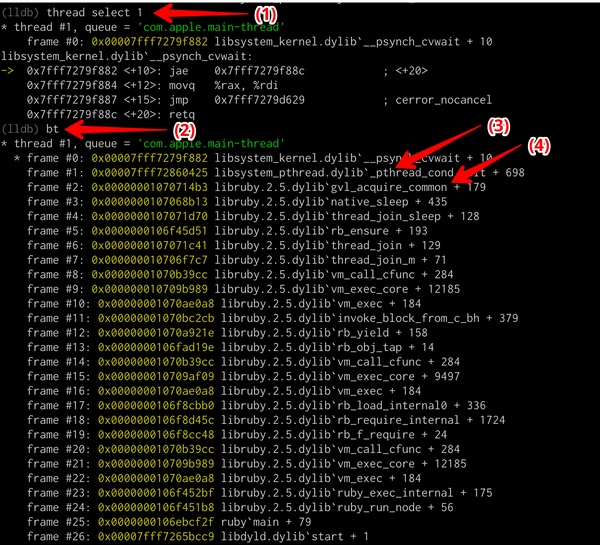 Debugging a stuck Ruby process using gdb/lldb